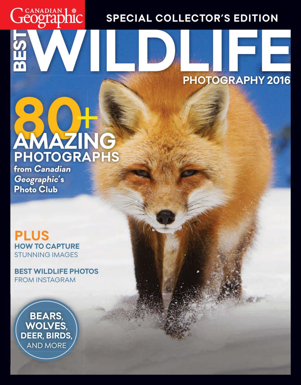 Canadian Geographic Magazine - Best Wildlife Photography 2016 Special Issue