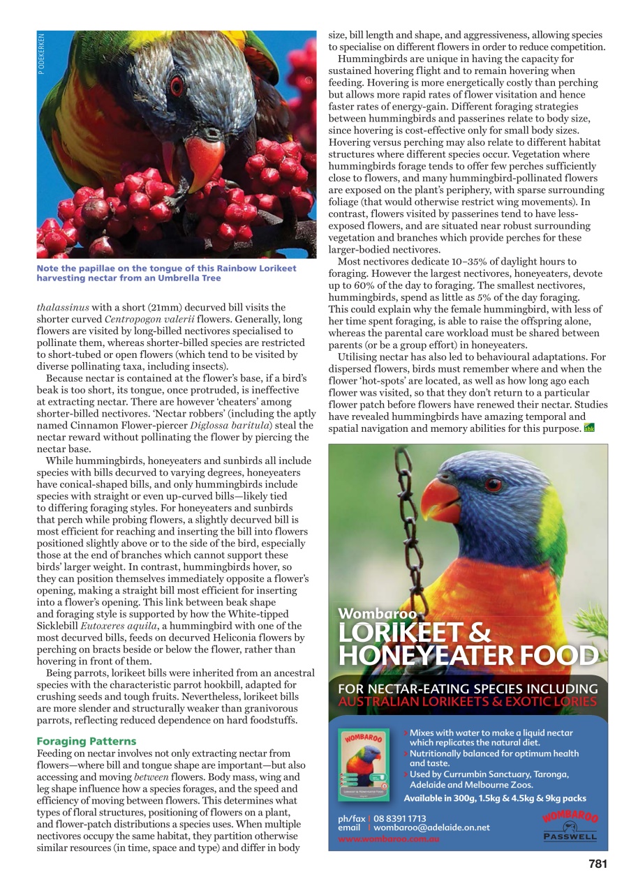 Australian Birdkeeper Magazine - BirdKeeper Vol 28 Iss 12 Back Issue