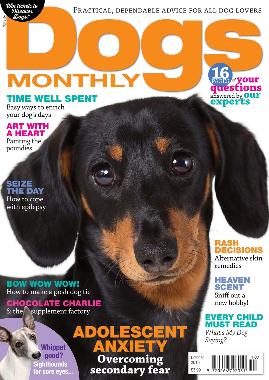 Dogs Monthly Magazine - October 2016 Back Issue