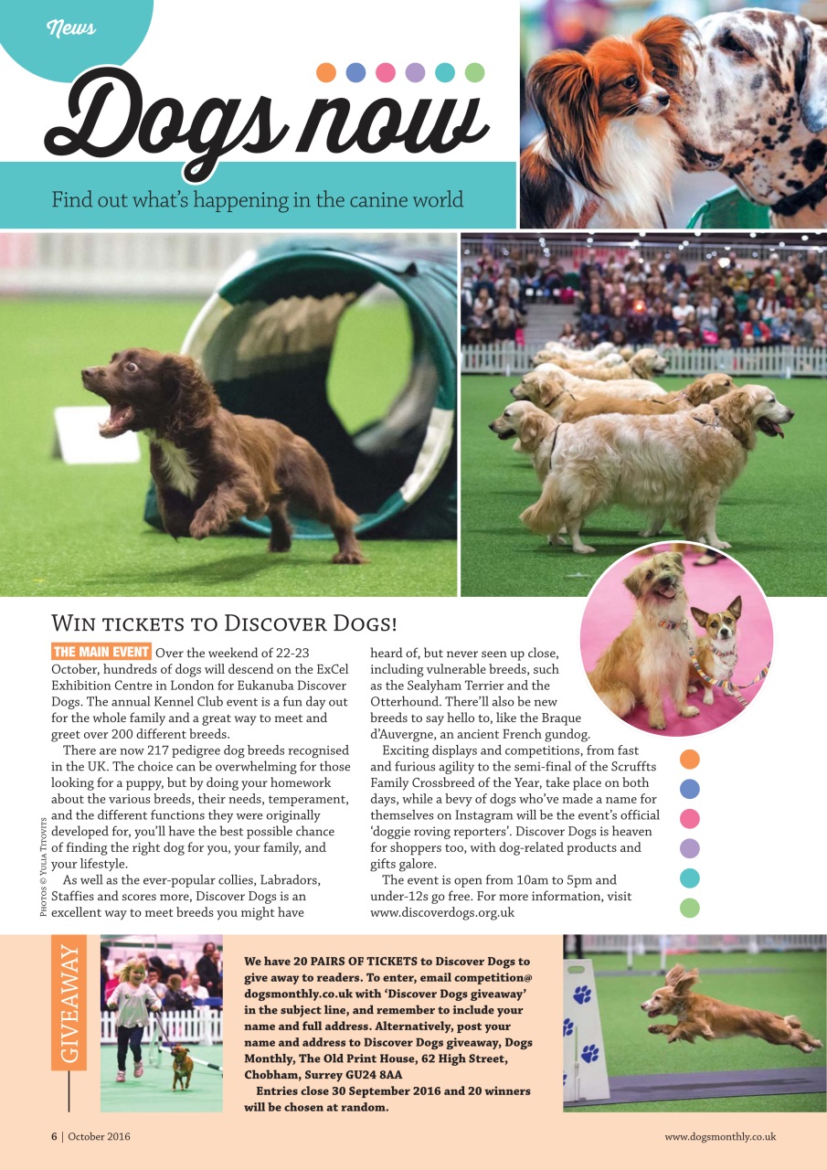 Dogs Monthly Magazine - October 2016 Back Issue