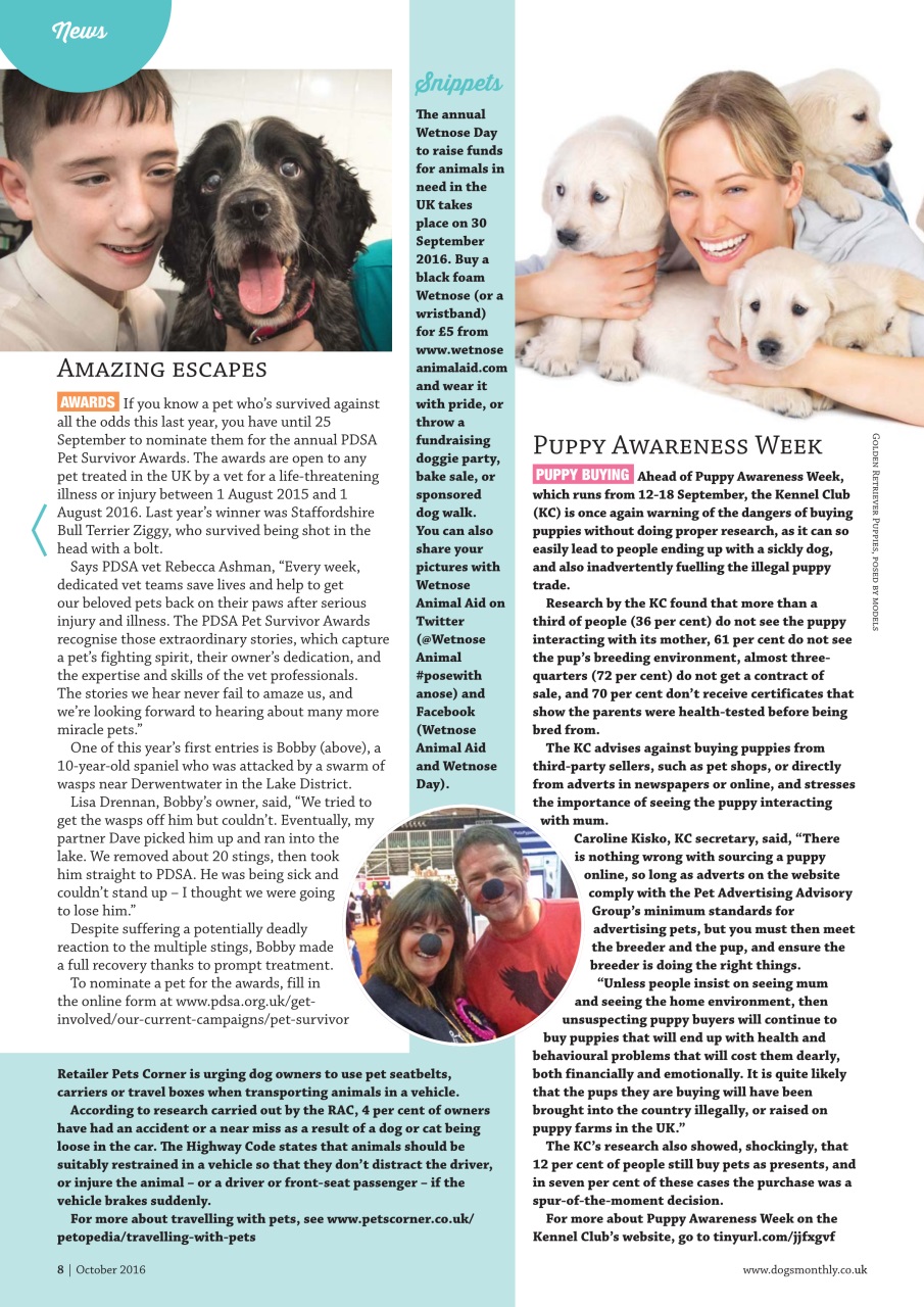Dogs Monthly Magazine - October 2016 Back Issue