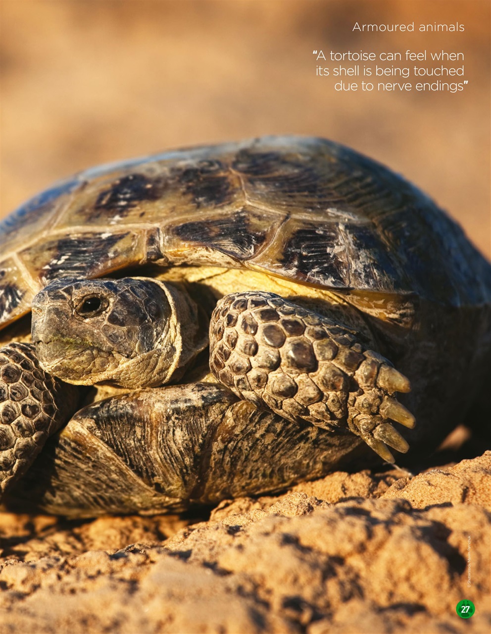 World of Animals Magazine - Issue 49 Back Issue