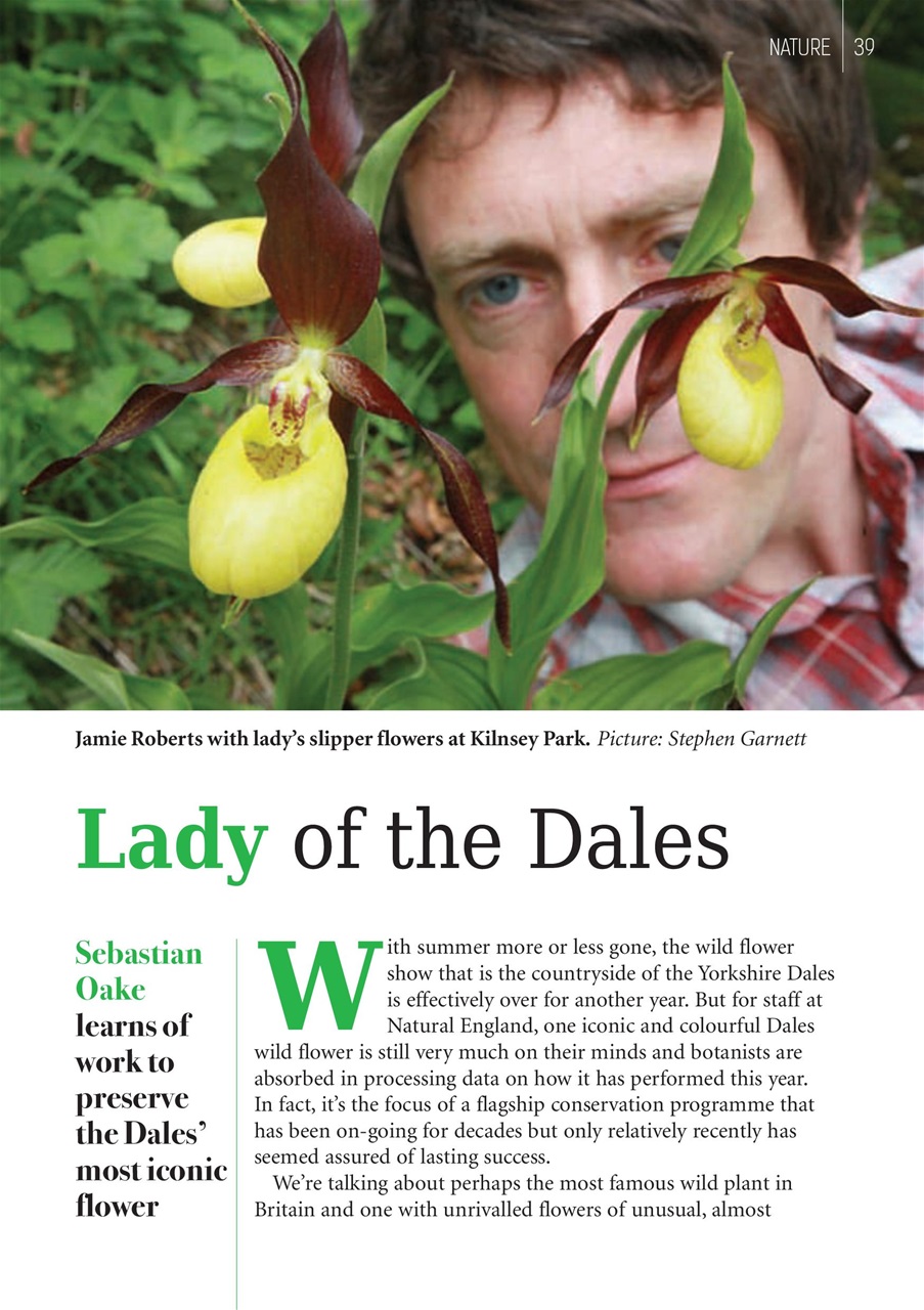 The Yorkshire Dalesman Magazine - Oct 2017 Back Issue