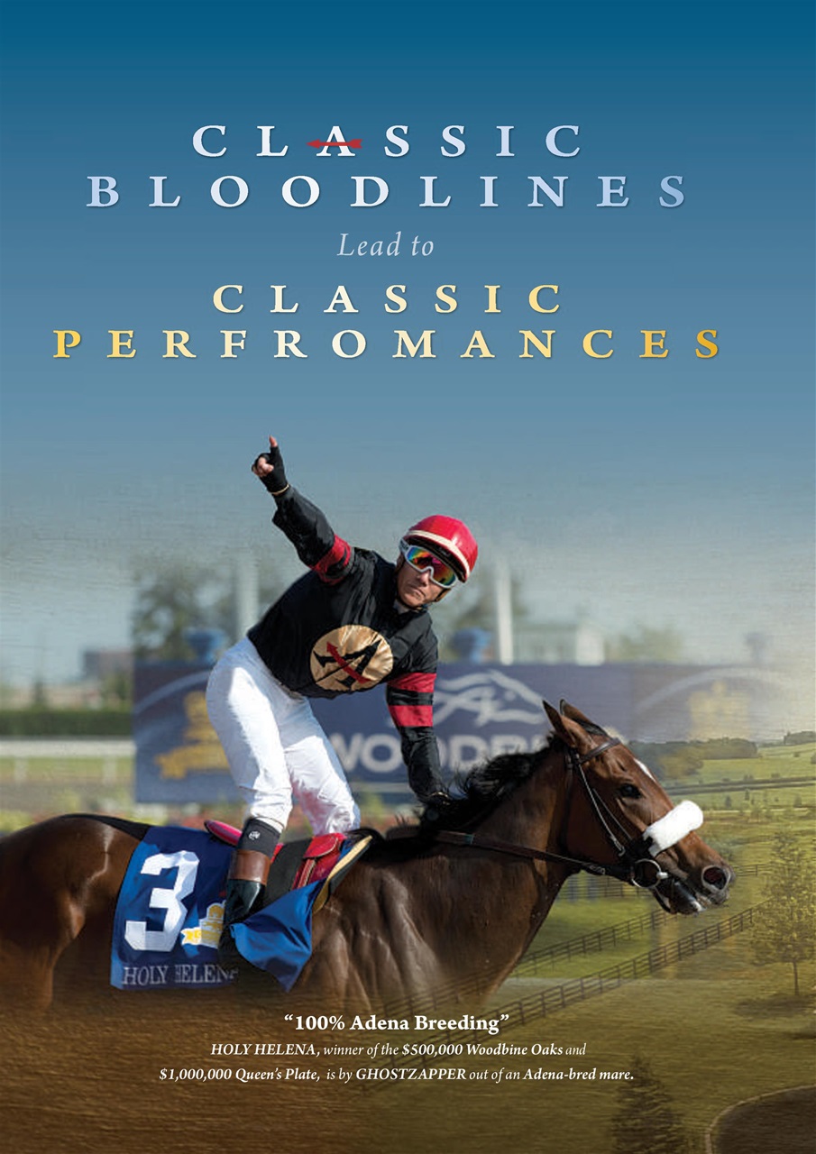 North American Trainer Magazine - horse racing - August - October 2017 ...