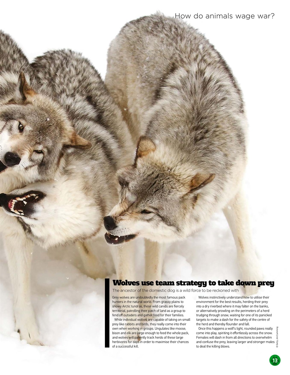 World of Animals Magazine - Issue 58 Back Issue