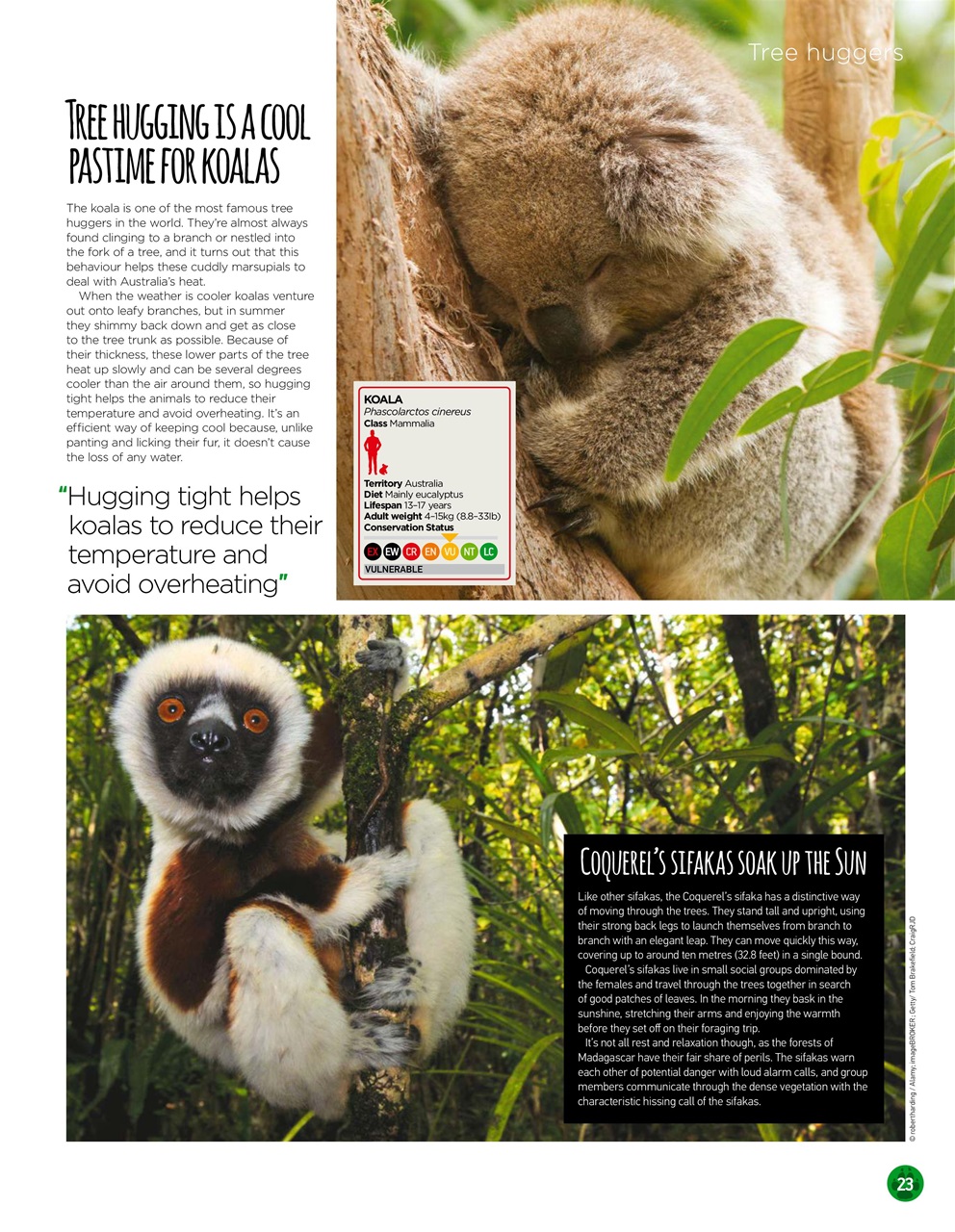 World of Animals Magazine - Issue 60 Back Issue