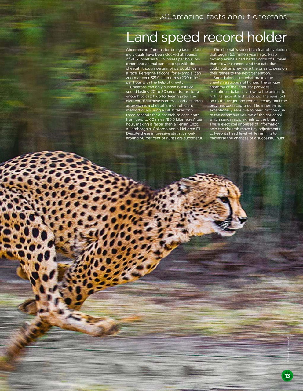 World of Animals Magazine - Issue 63 Back Issue