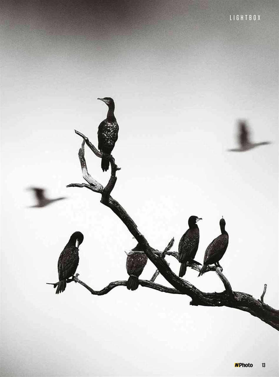 N-Photo Magazine - December 2018 Back Issue