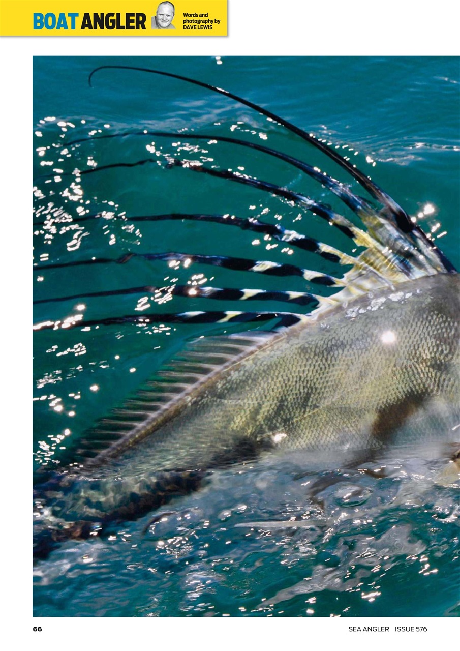 Sea Angler Magazine - Issue 576 Back Issue