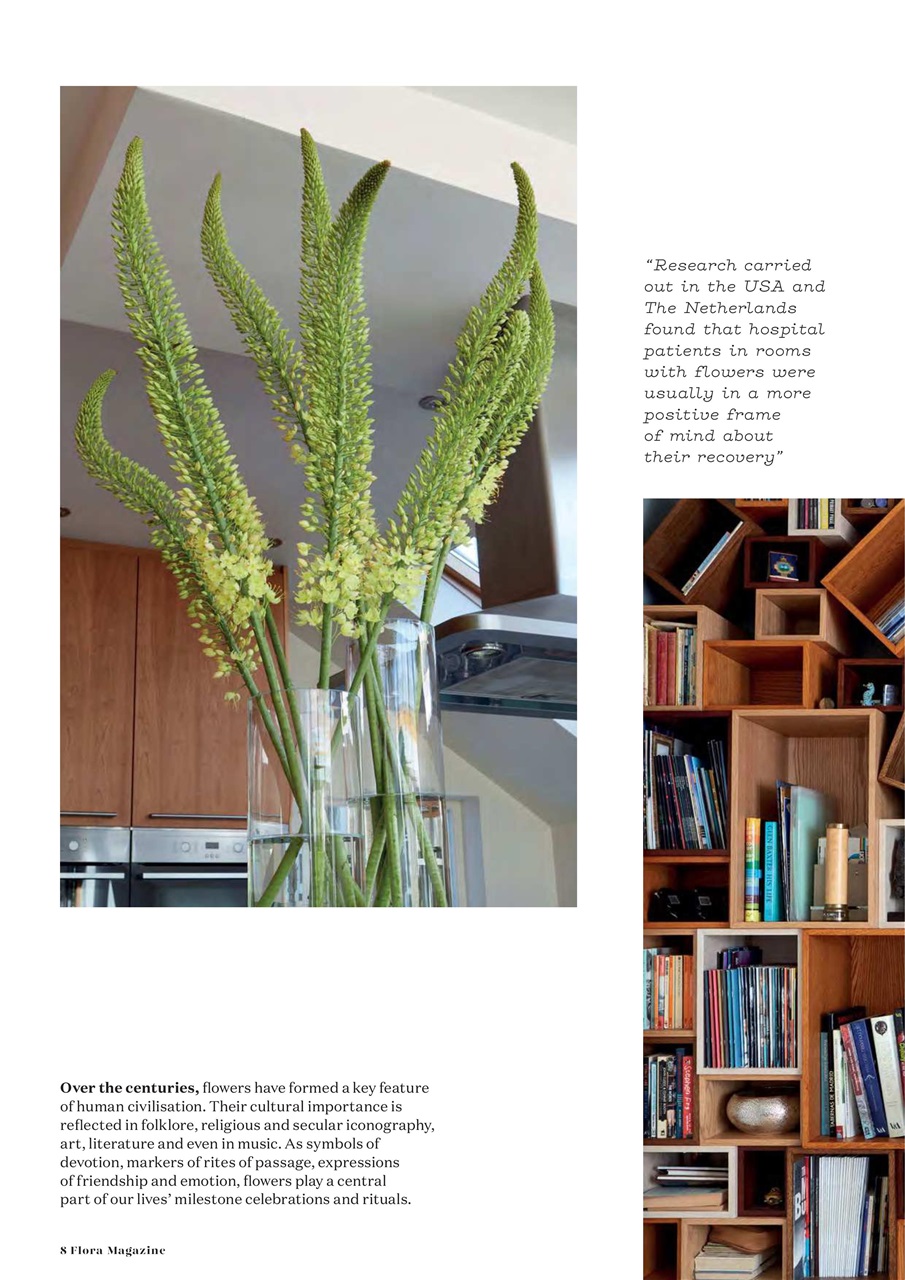 Flora International Magazine - Summer 20 Back Issue