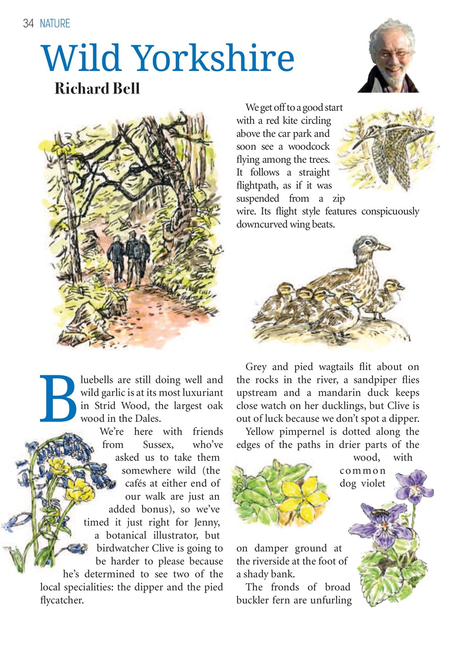 The Yorkshire Dalesman Magazine - May 2020 Back Issue