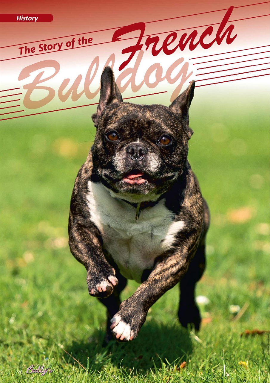 Bully’s - The Bulldog Magazine - Summer 2020 Back Issue
