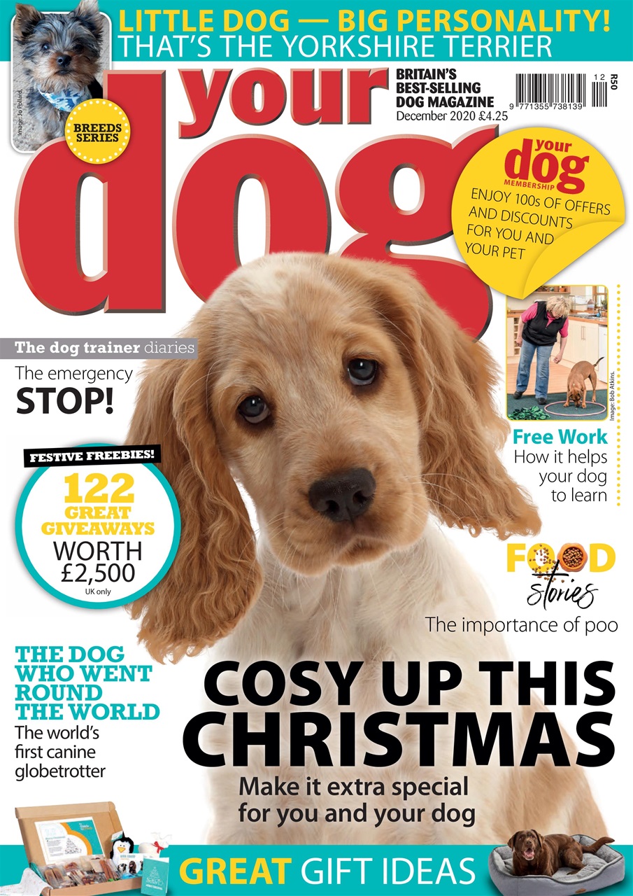 Your Dog Magazine - Your Dog Magazine December 2020 Back Issue