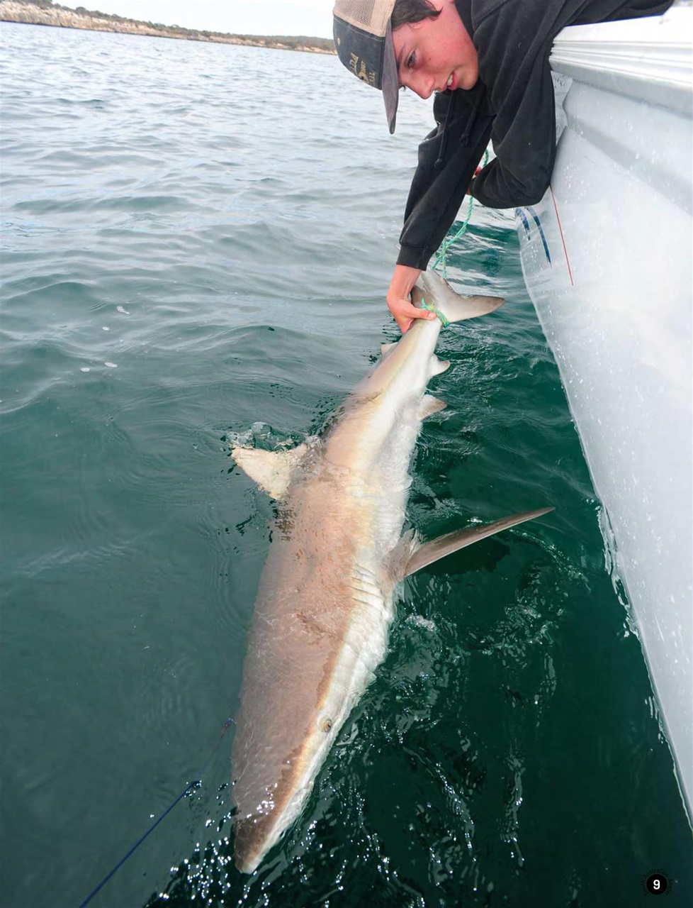South Australian Angler Magazine - SA Angler Nov Dec 20 Back Issue