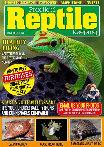 Practical Reptile Keeping Magazine - February 2021 Back Issue