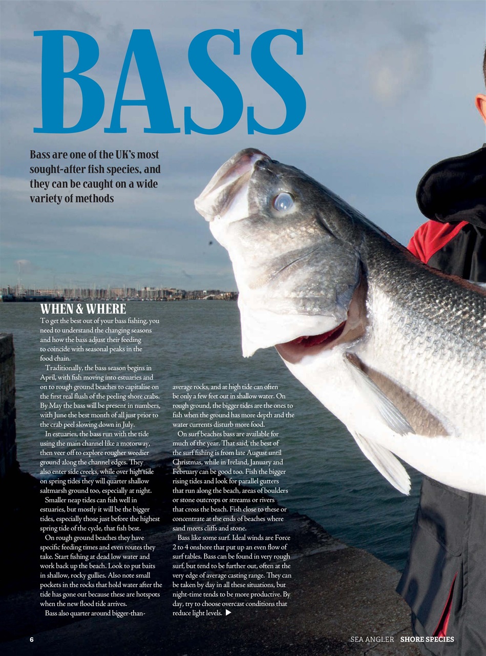 Sea Angler Guides Magazine - #3 Shore Species Back Issue