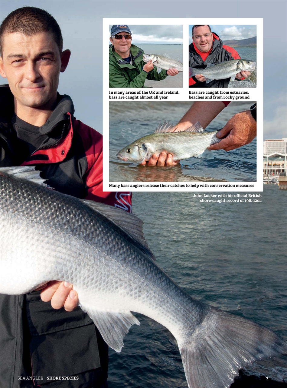 Sea Angler Guides Magazine - #3 Shore Species Back Issue