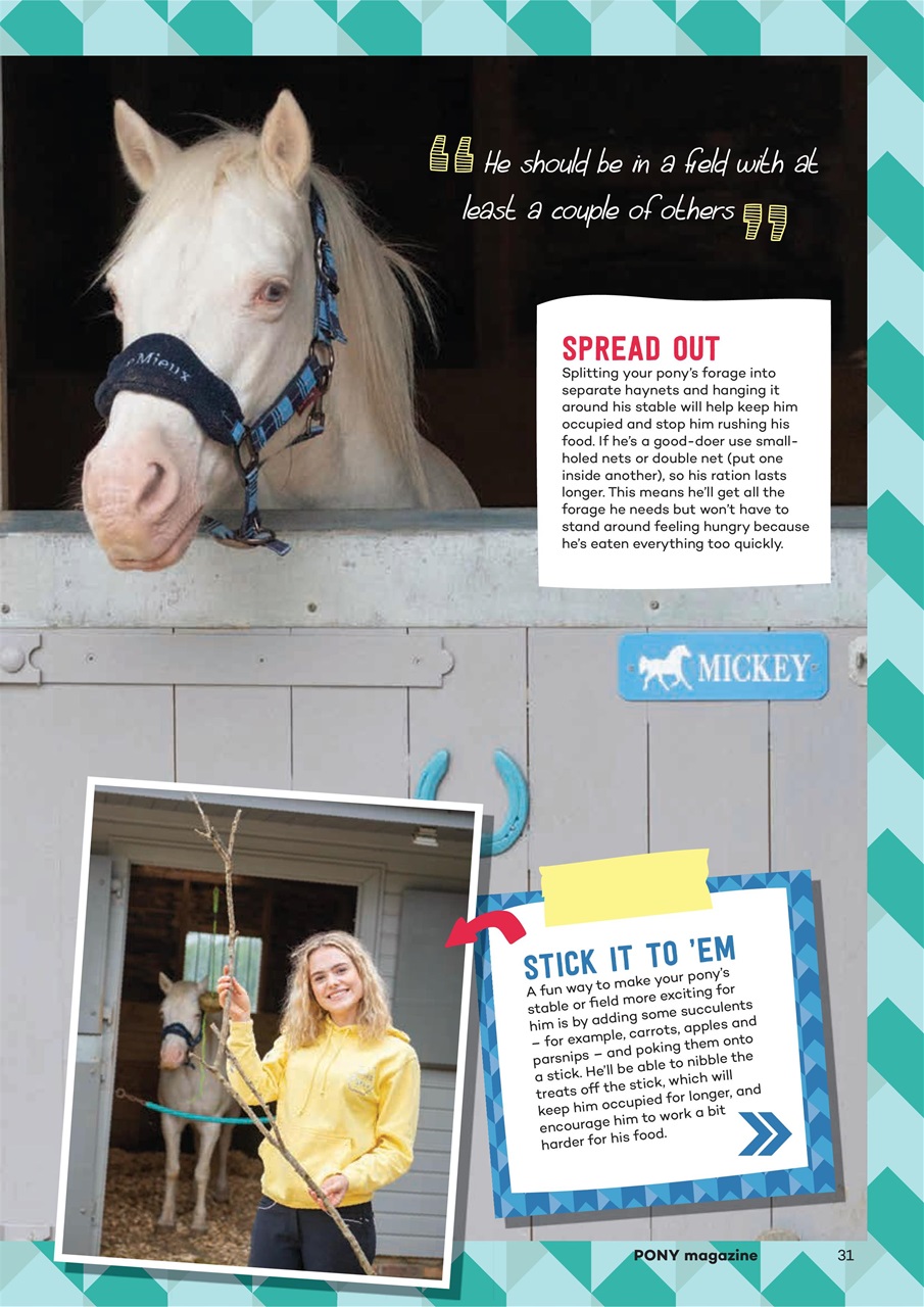 Pony Magazine - January 2022 Back Issue