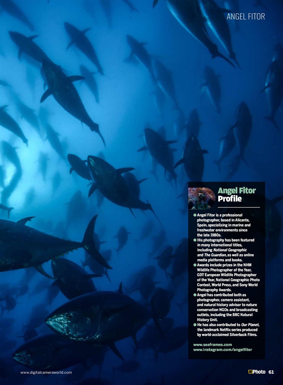 N-Photo Magazine - December 2021 Back Issue