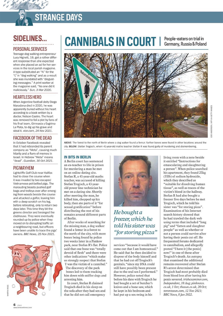 Fortean Times Magazine - 415 Back Issue