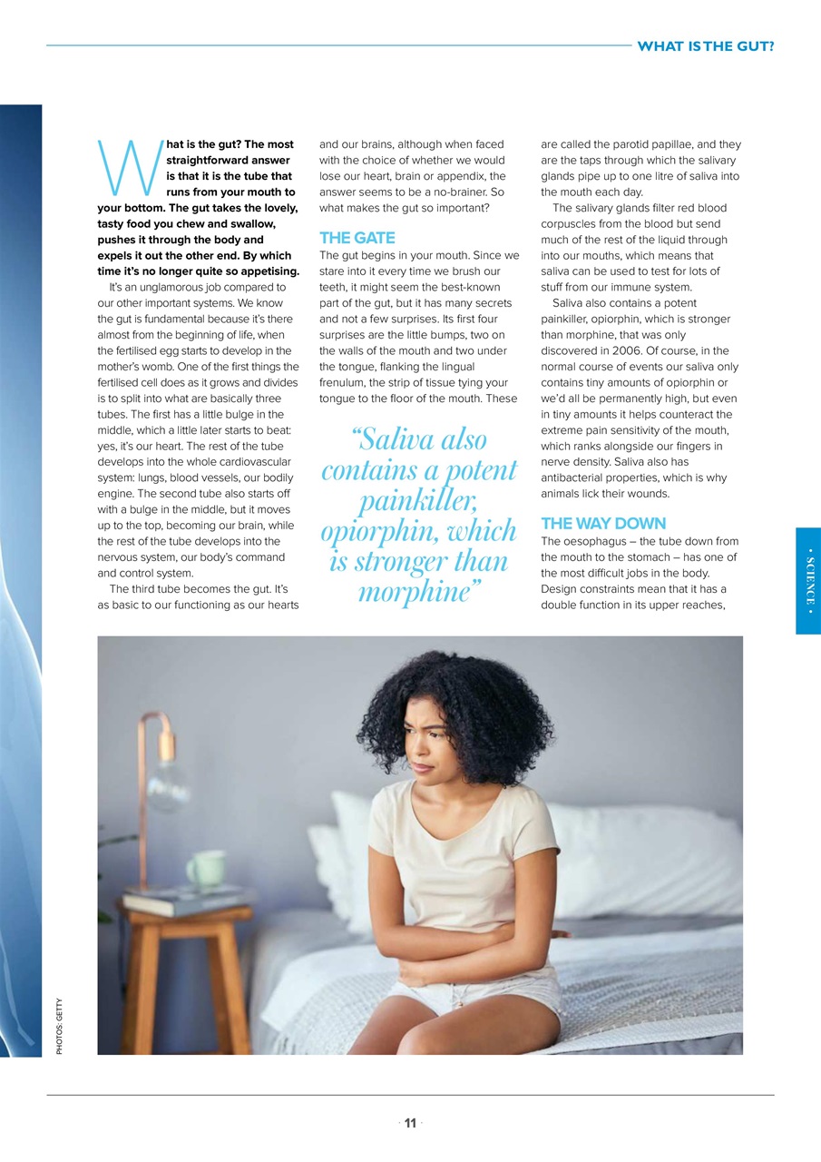 Lifestyle Bookazine - The Gut Health Book 2nd Edition Back Issue