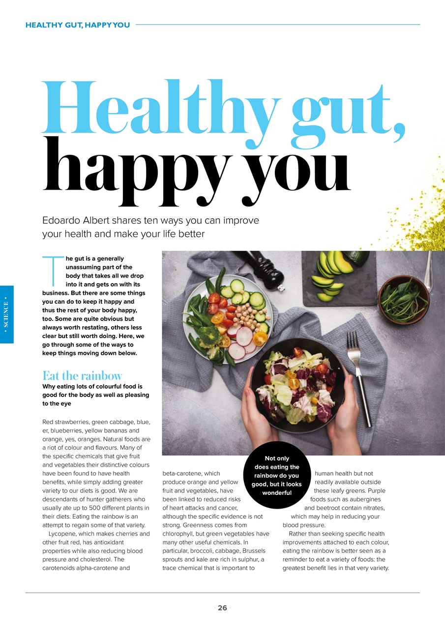 Lifestyle Bookazine - The Gut Health Book 2nd Edition Back Issue