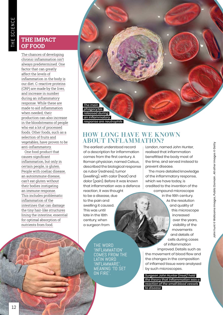 Lifestyle Bookazine - The Anti-Inflammatory Guide 1st Edition Back Issue