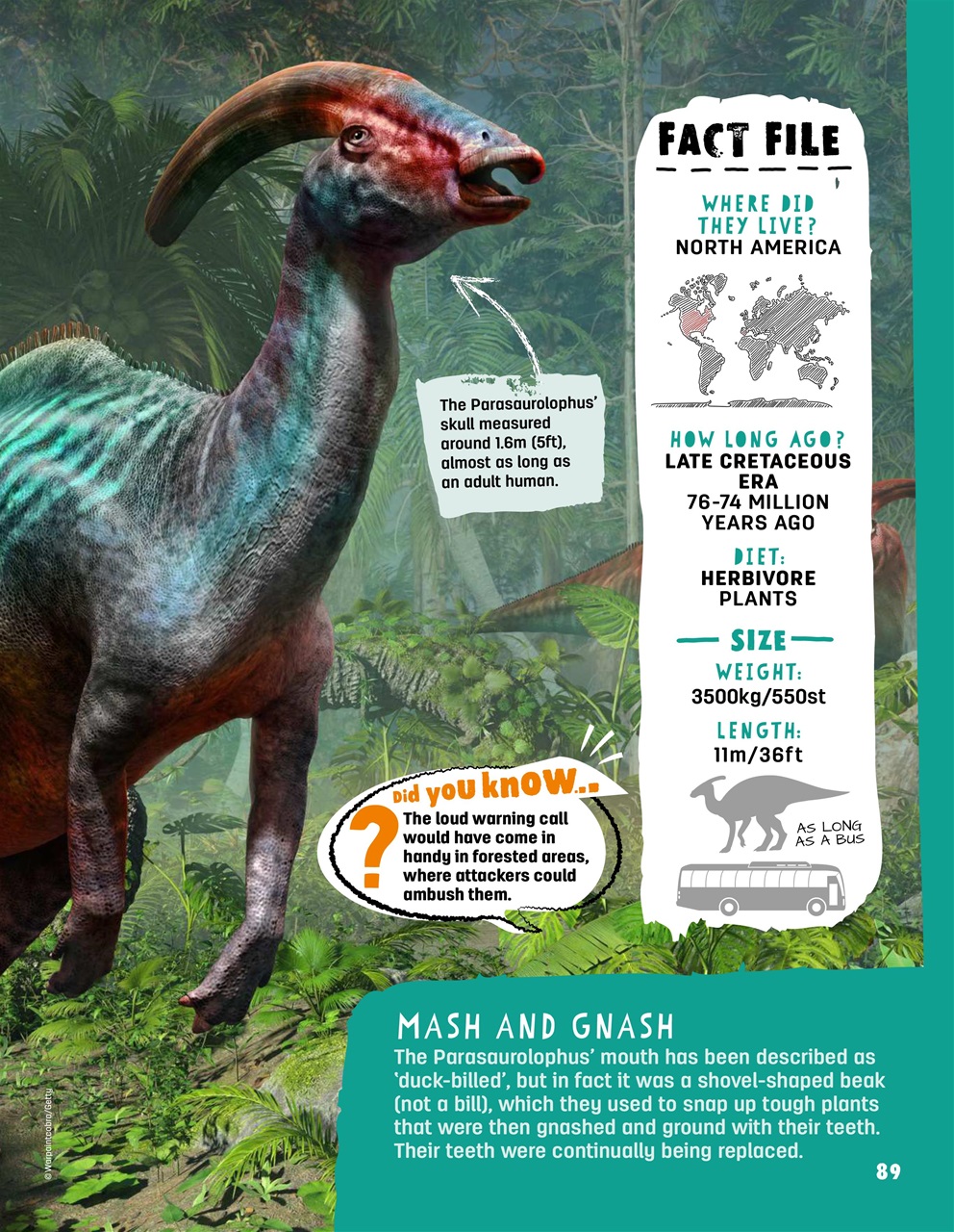 Creative Bookazine - Learn, Draw & Colour: Dinosaurs First Edition ...