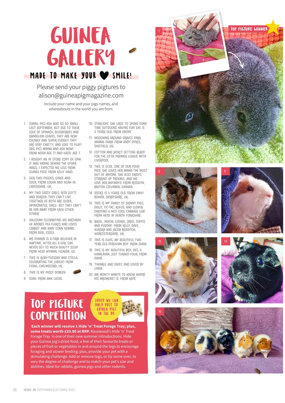 Guinea Pig Magazine - Issue 70 Back Issue