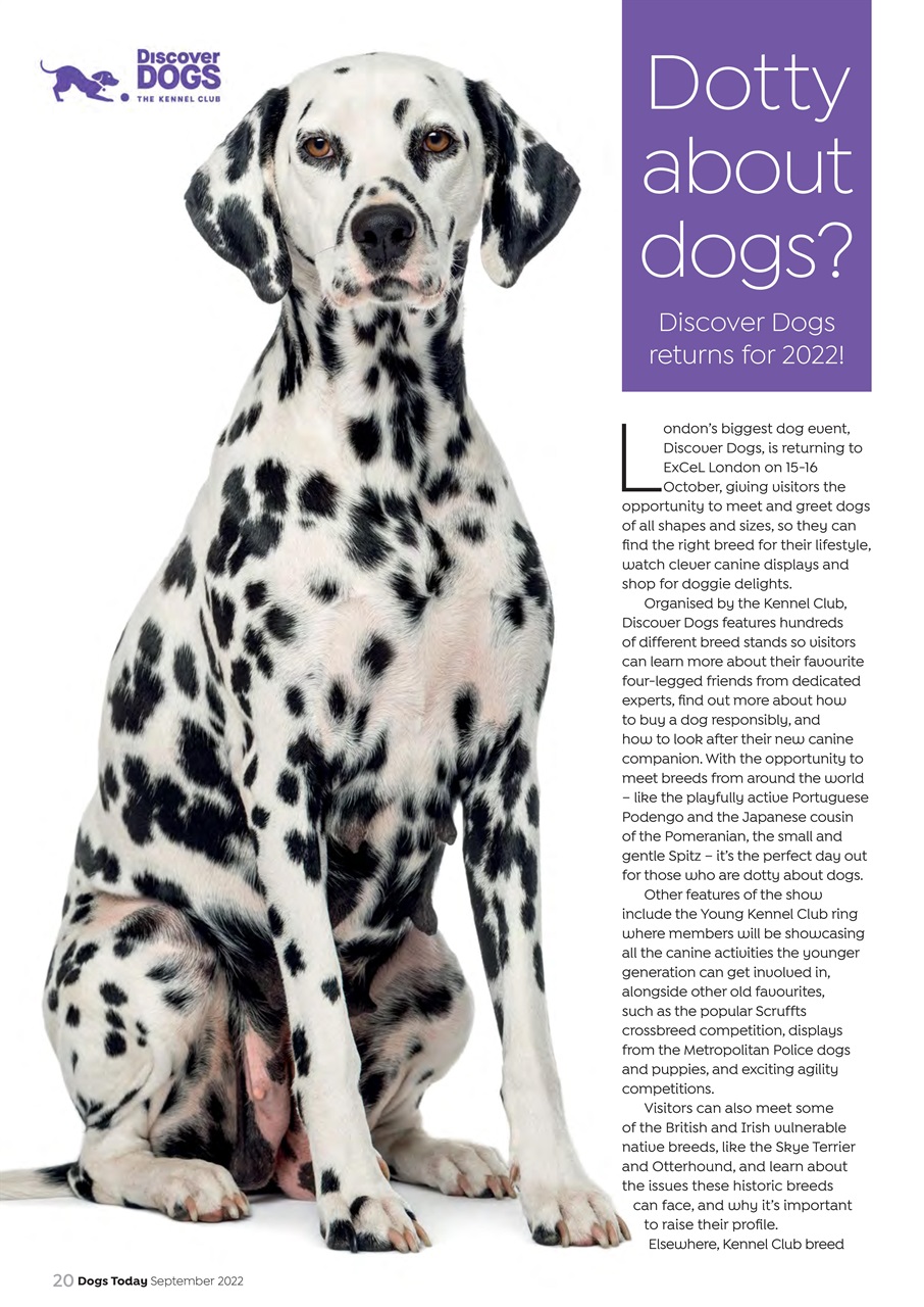 Dogs Today Magazine - September 2022 Back Issue