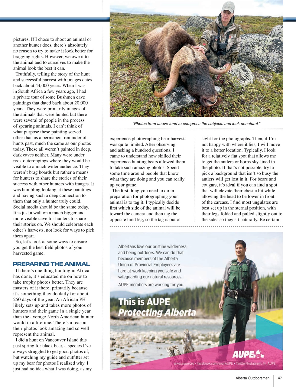 Alberta Outdoors Magazine - Volume 24 Issue 8 Back Issue