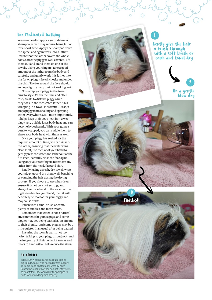 Guinea Pig Magazine - Issue 72 Back Issue