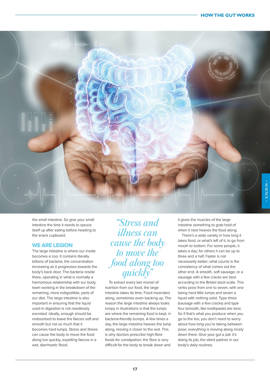 Lifestyle Bookazine - The Gut Health Book Third Edition Back Issue