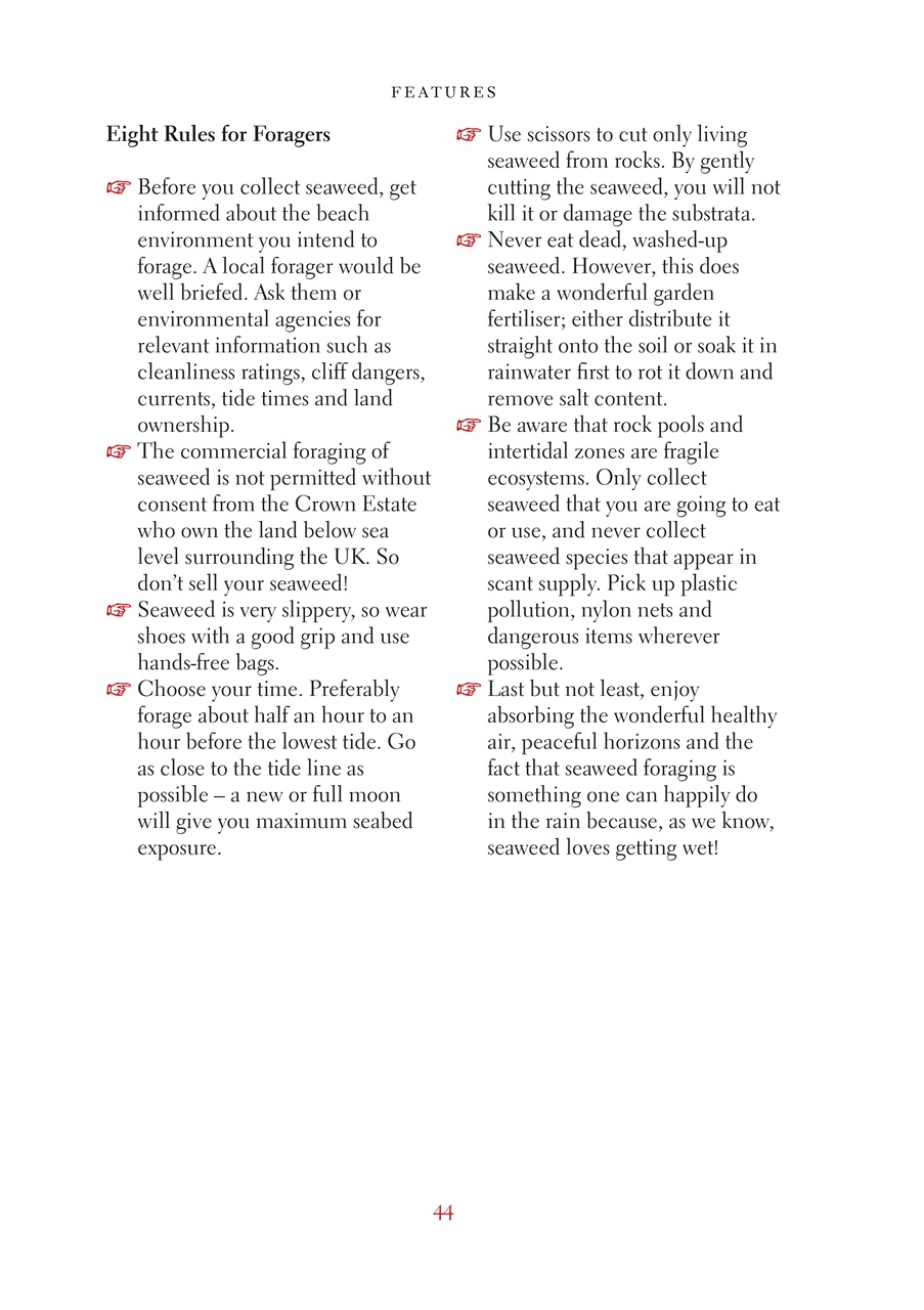 The Idler Magazine - Jan/Feb 2023 Back Issue