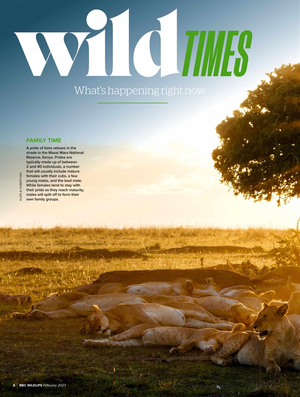 BBC Wildlife Magazine - February 2023 Back Issue