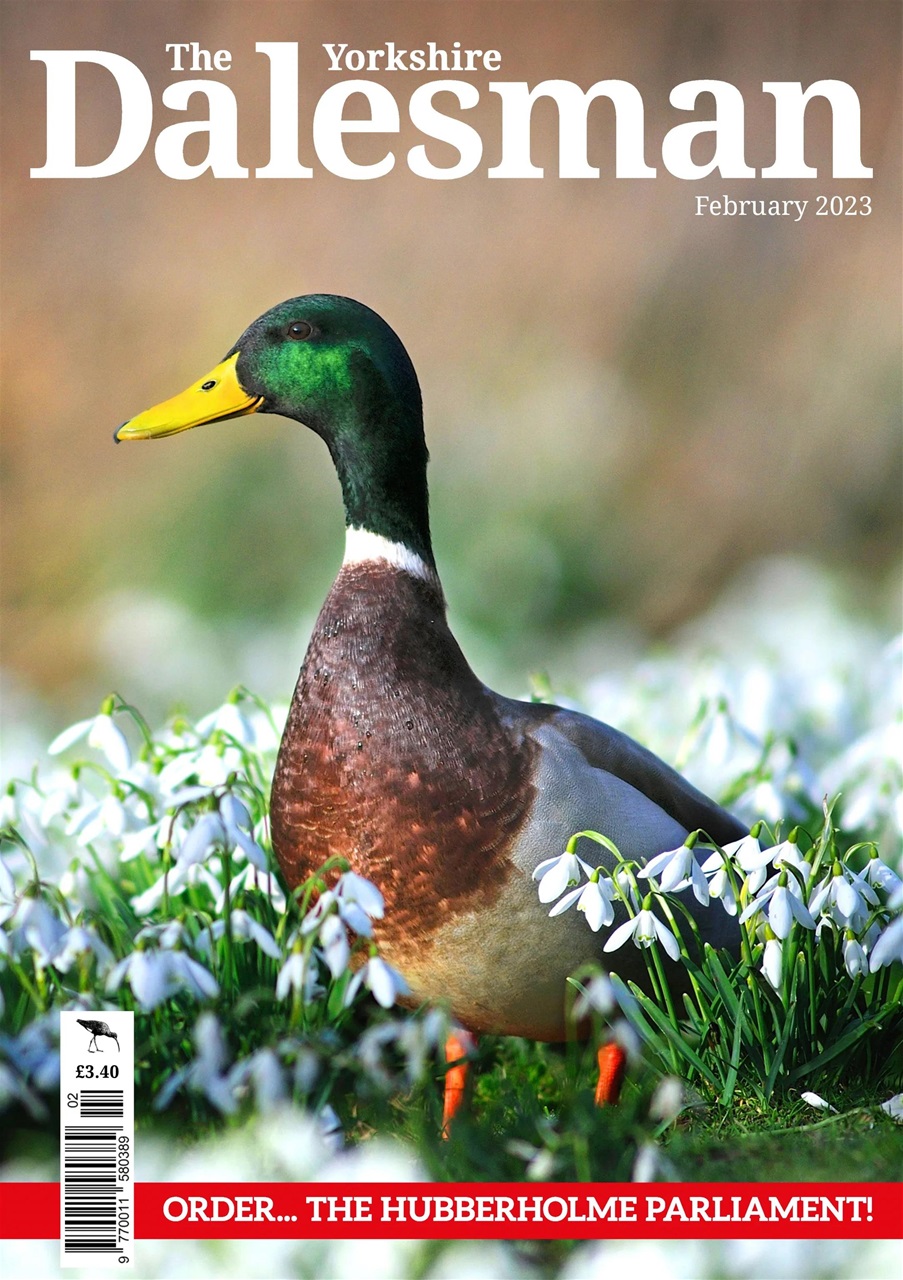 The Yorkshire Dalesman Magazine - February issue 2023 Back Issue