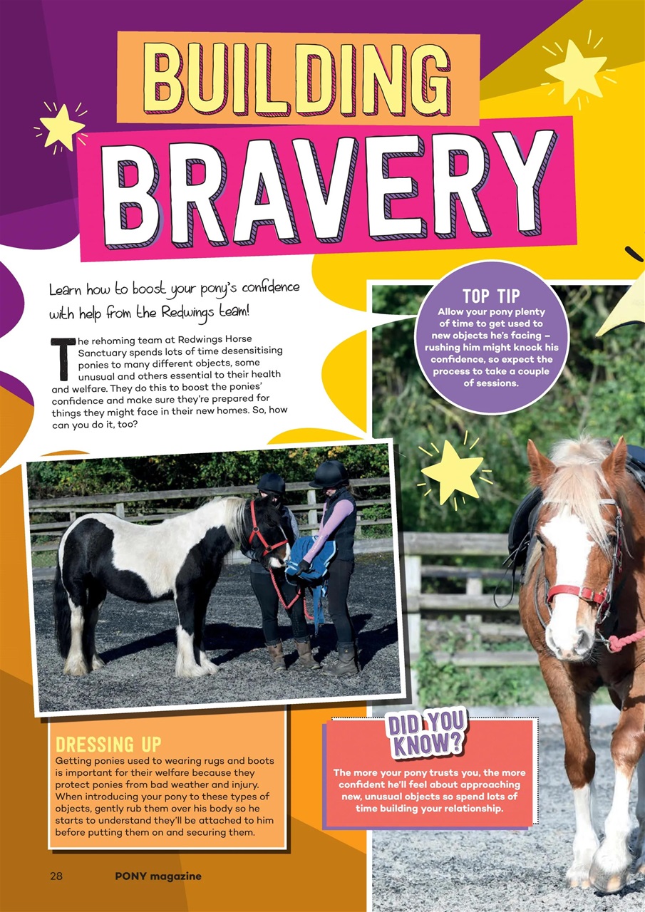 Pony Magazine - PONY Spring 2023 Back Issue