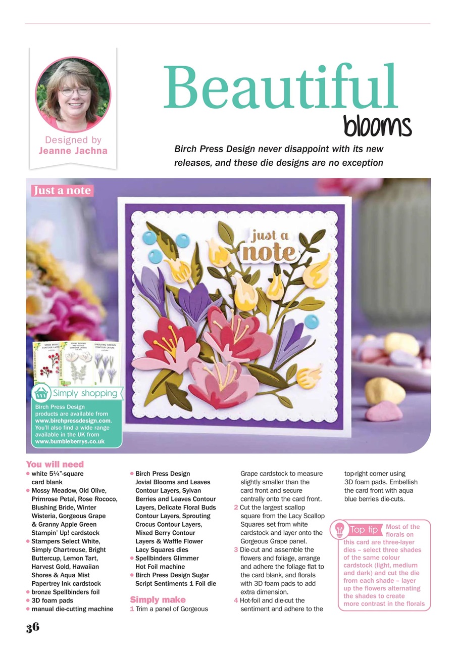 Simply Cards & Papercraft Magazine - Issue 245 Back Issue Simply Cards & Papercraft Magazine - Issue 245 Back Issue