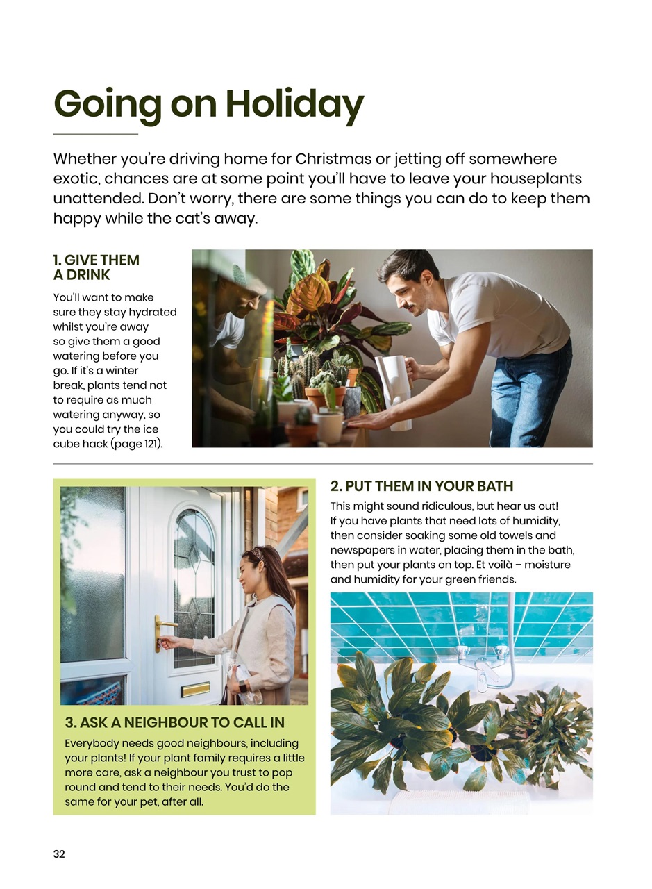 Home Interests Bookazine - Complete Guide to Houseplants First Edition ...