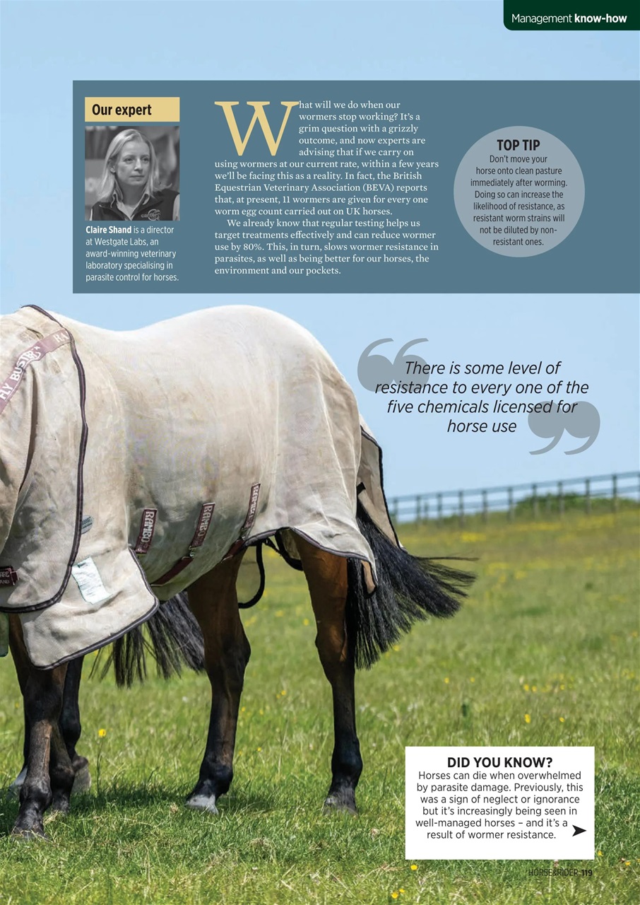 Horse&Rider Magazine - UK equestrian magazine for Horse and Rider ...