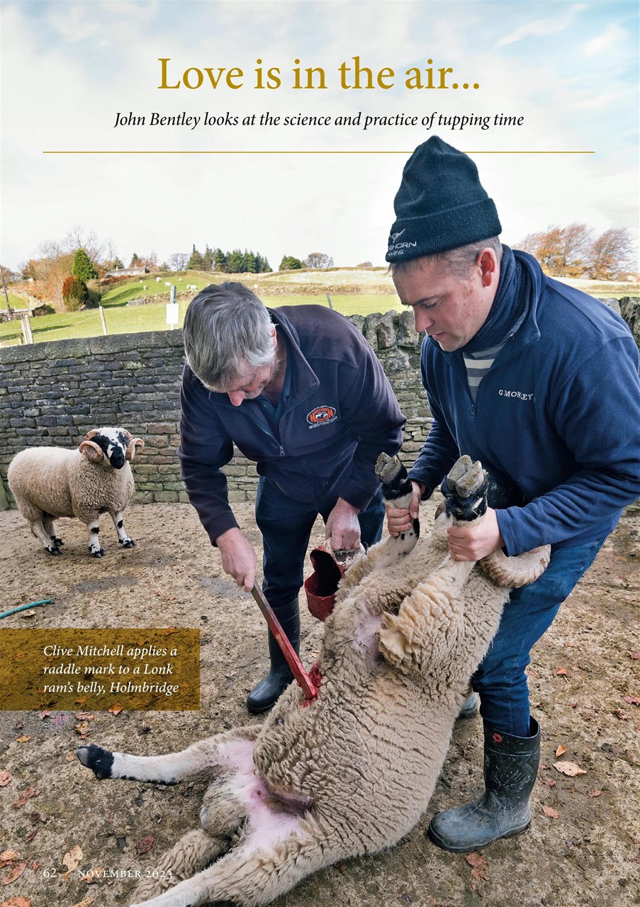 The Yorkshire Dalesman Magazine - November 2023 Back Issue