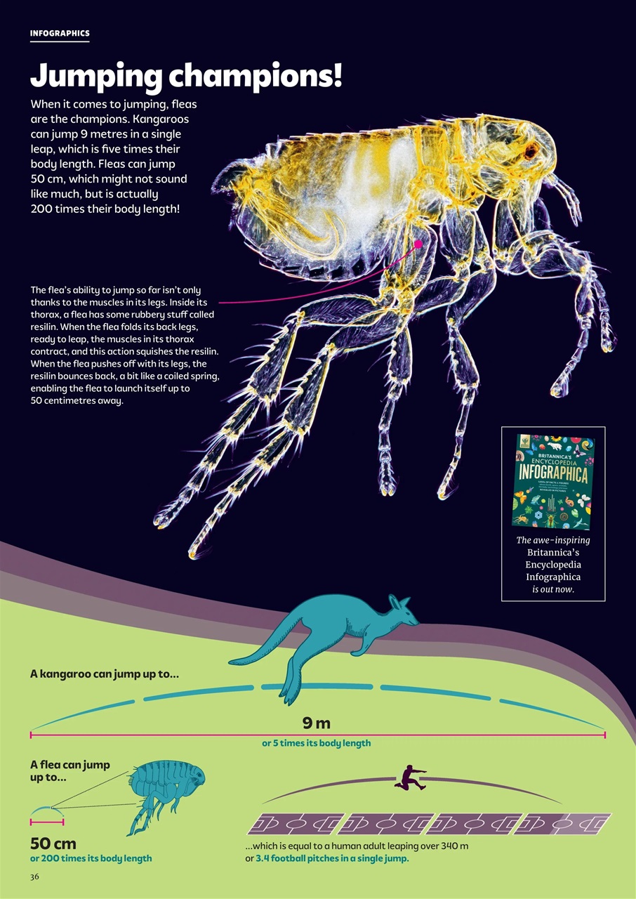 What on Earth! Magazine - November 2023 Back Issue