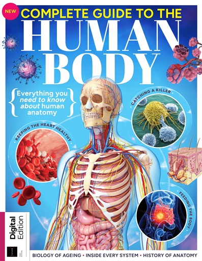 How It Works Bookazine - Complete Guide To The Human Body First Edition ...
