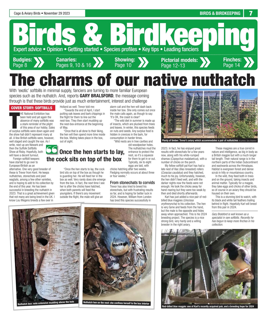 Cage & Aviary Birds Magazine - 29-Nov-23 Back Issue