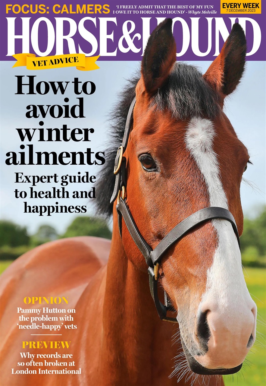 Horse & Hound Magazine - 7 December 2023 Back Issue