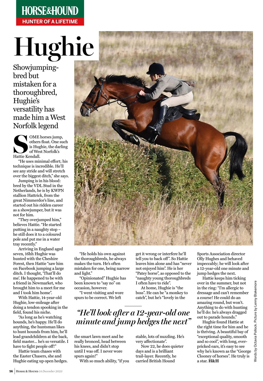Horse & Hound Magazine - 14 December 2023 Back Issue