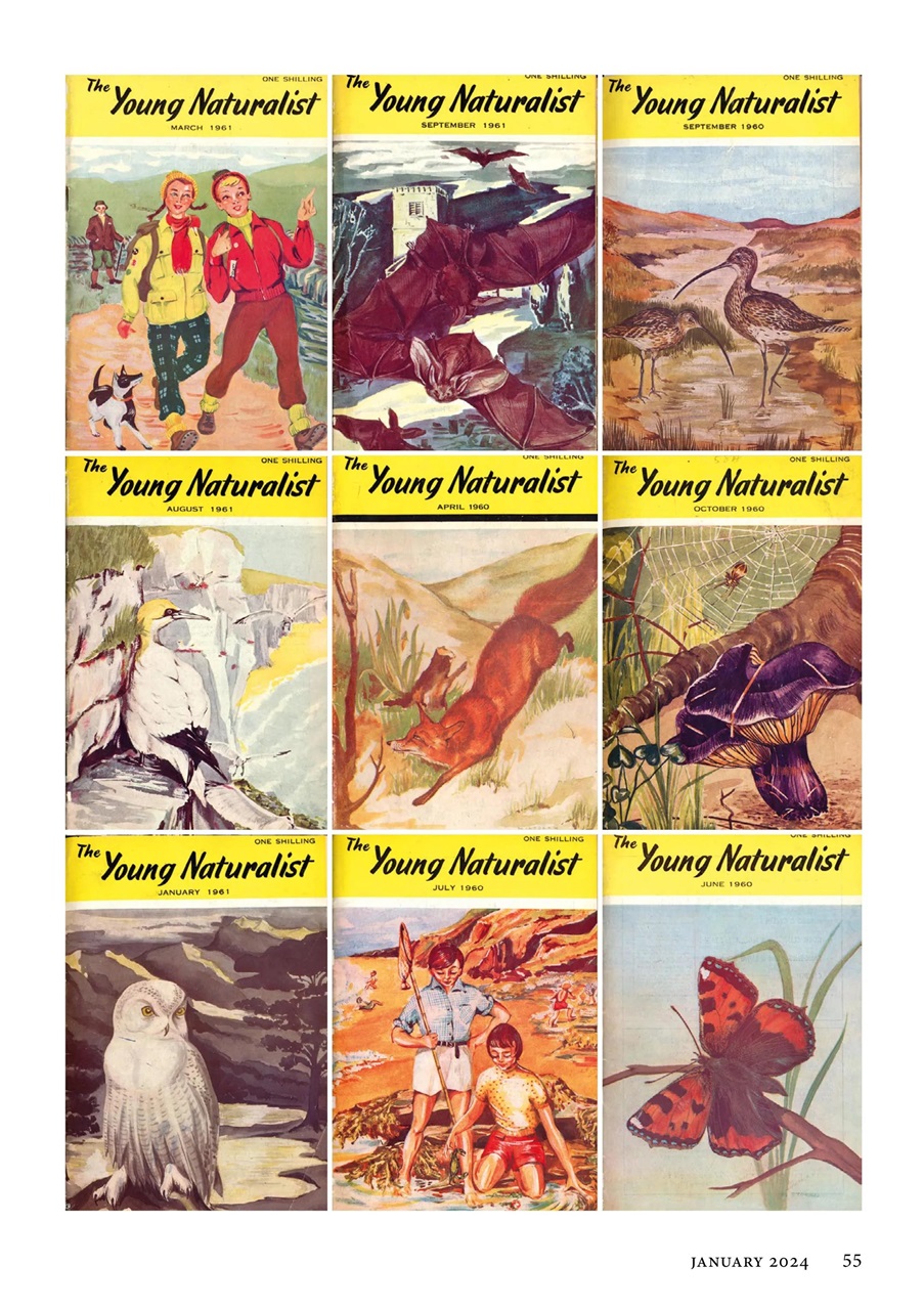 The Yorkshire Dalesman Magazine - January 2024 Back Issue