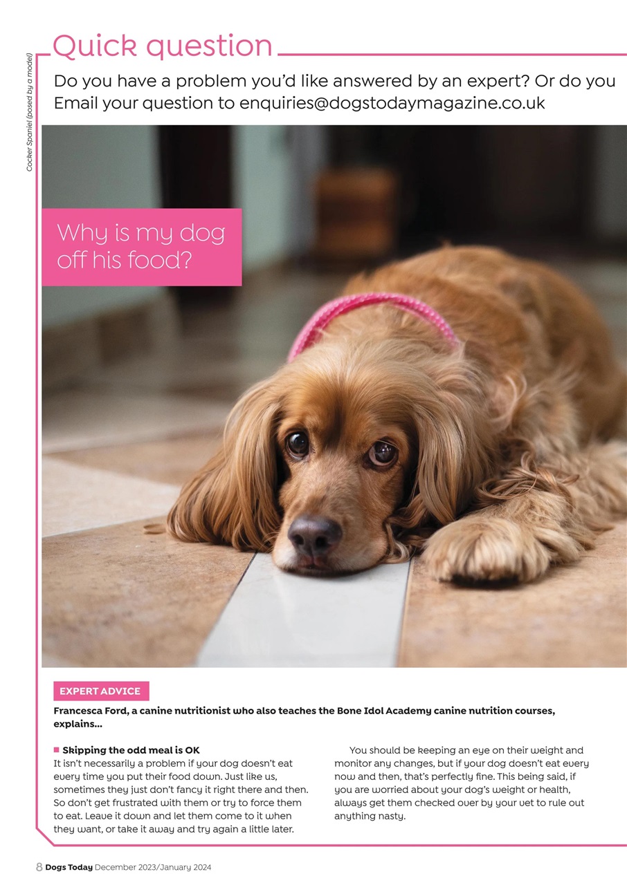 Dogs Today Magazine - Dec/Jan 2024 Back Issue