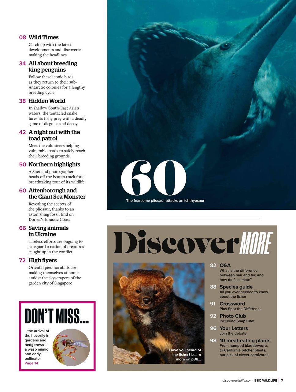 BBC Wildlife Magazine - March 2024 Back Issue