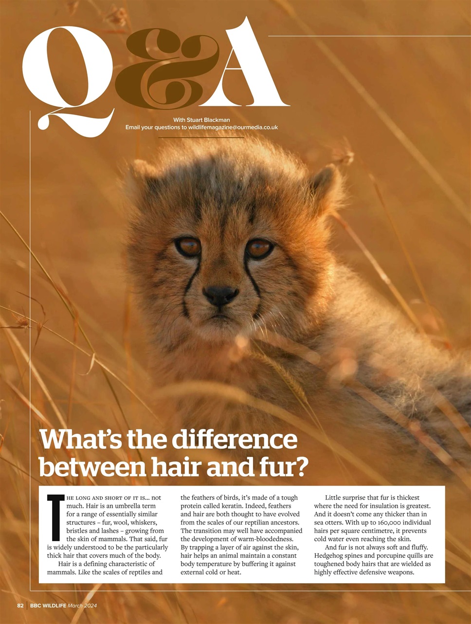 BBC Wildlife Magazine - March 2024 Back Issue